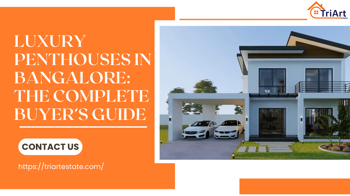 Luxury Penthouses in Bangalore: The Complete Buyer’s Guide